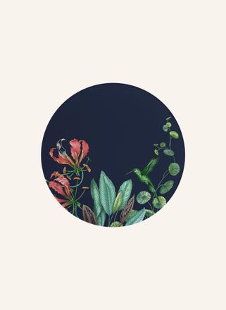 Villeroy & Boch Speiseteller 2 Avarua weiss