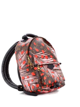 Louis Vuitton Palm Springs Limited Edition Monogram Jungle Dots PM backpack - Marron