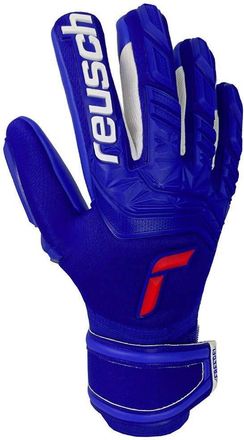 Reusch Unisex Torwarthandschuhe Attrakt Freegel Silver deep Blue/deep Blue 8