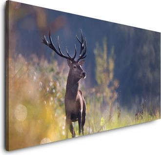 Paul Sinus Art Hirsch in einem Wald 120x 60cm Panorama Leinwand Bild XXL Format Wandbilder Wohnzimmer Wohnung Deko Kunstdrucke