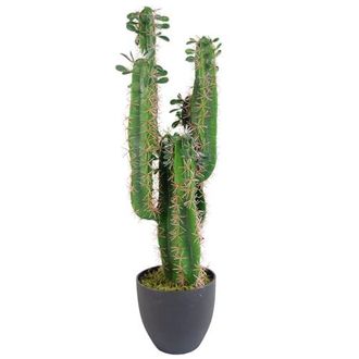 Leaf Plantes artificielles Tropicales, Cactus 75 cm, 75 cm