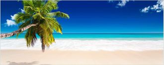 Wallario Glasbild S&uuml;dseestrand in der Karibik mit Palme - 50 x 125 cm Wandbilder Glas in Premium-Qualit&auml;t: Brillante Farben, freischwebende Optik