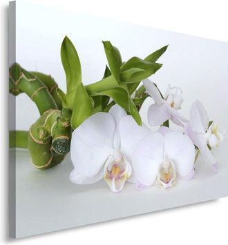 Feeby Wandbild - 1 Teilig - 40x50 cm, Leinwand Bild Leinwandbilder Bilder Wandbilder Kunstdruck, ORCHIDEE, NATUR, WEIß