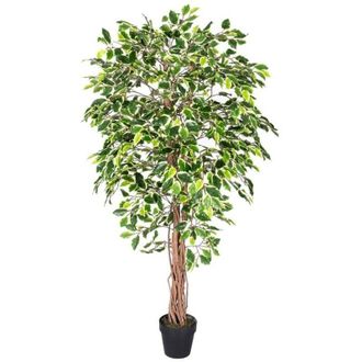 Homescapes Kunstbaum Ficus Benjamini gr&uuml;n wei&szlig; 180 cm