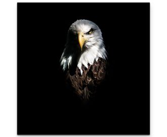 Paul Sinus Art Leinwandbilder | Bilder Leinwand 60x60cm Adler