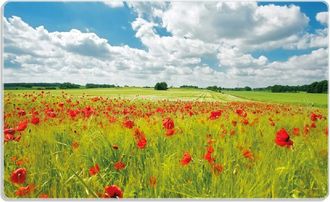 Wallario Frühstücksbrettchen aus Glas, Glasunterlage, Glasbrettchen Grüne Wiese mit Mohnblumen, Größe 14 x 23 cm, Sicherheitsglas