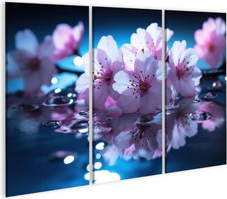 Islandburner Prime Bild auf Leinwand Sakura Blumen Wasser Rosa Kirschbl&uuml;ten Bl&uuml;tenbl&auml;tter Tropfen Sch&ouml;n Zar Bilder Wandbilder Poster