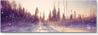 Paul Sinus Art Leinwandbilder | Bilder Leinwand 120x40cm Winterlandschaft