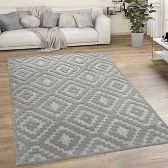 Paco Home Tapis Exterieur Terrasse Salon Cuisine Motif Scandinave Motif Ethnique Uni, Dimension:120 cm Rond, Couleur:Gris 2
