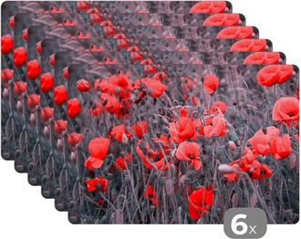 MuchoWow Placemats Platzdeckchen Platzset Tischset 6-teilig Tischdeko Untersetzer 45x30 cm Rote Mohnblumen in einem Schwarz-Weiß-Bild