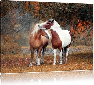 Pixxprint zwei schmusende Pferde, Größe: 80x60cm, Leinwandbild, fertig gespannt, Wandbild, Dekoration, Kunstdruck, kein Poster