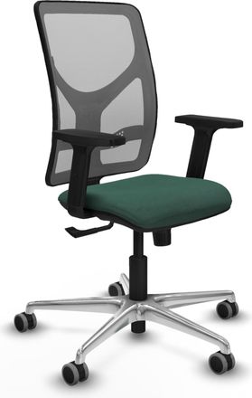 Piqueras y Crespo Stuhl mit Lendenwirbelst&uuml;tze, mit 2D-Armlehnen, ausgestattet mit 3 Positionen und Schneideschaum, 65 mm Rollen, Parkett, Grau/Flaschengr&uuml;n