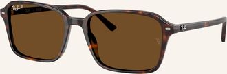 Ray-Ban Sonnenbrille rb2231 braun