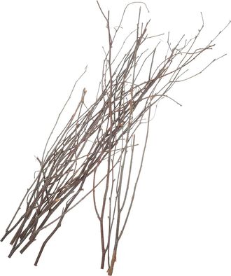 Cabilock 10st&uuml;cke Getrocknete Zweige Deko Kleine Holzzweige Nat&uuml;rliche Vasenf&uuml;ller F&uuml;r Zuhause DIY Bastelmaterial Zimmerpflanzenaccessoires Partyzubeh&ouml;r