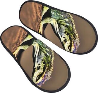 Generic Slippers L&eacute;zard Hd R&eacute;utilisables Hiver Pantoufles Cozy Maison Slippers Pour Camping H&ocirc;tel Homme M