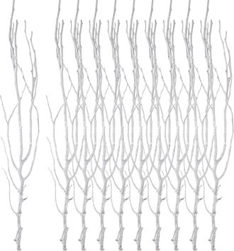 Amosfun 10 St&uuml;ck 50 cm Getrocknete Zweige Holz Echte Zweige Wei&szlig; F&uuml;r Den Innenbereich