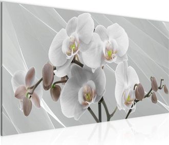Runa Art Wandbild Blumen Orchidee 1 Teilig 100 x 40 cm Modern Bild auf Vlies Leinwand Abstrakt Wohnzimmer Grau Rosa 203012c