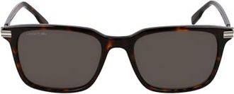 Lacoste Lunettes de Soleil LACOSTE L6035S 230 DARK HAVANA 53/18/145 Homme