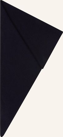 S.Marlon S.Marlon Dreieckstuch Aus Cashmere blau