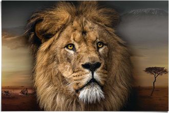 Reinders Poster, L&ouml;wenkopf, Schlafzimmer, Poster, Wanddeko, Room Decor, 150 gr. gl&auml;nzend Bilderdruckpapier, Beige, 61 x 91,5cm