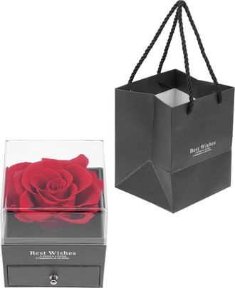 DOITOOL Schmuckk&auml;stchen mit Konservierten Rosen Papier und Acrylbox Ewige Blumen Geschenkbox f&uuml;r Valentinstag Romantische Schmuckschatulle mit Roten Rosen
