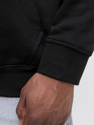 Jack & Jones Plus Size Sweatshirt JJESOHO (1-tlg)