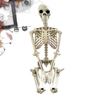Generic Halloween Skelett - Halloween Skelett Lebensgroß Skelett Dekoration Skelett Realistische Skelette kompatibel mit beweglichen Gelenken | Spooky Foto Ga