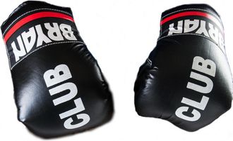 BRYAN Boxhandschuhe Trainingshandschuhe Kickboxhandschuhe Sandsack