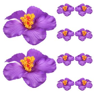 Lurrose K&uuml;nstliche Hibiskusbl&uuml;ten 10 St&uuml;ck Tropische Blumen f&uuml;r Haarschmuck und Motto Partys im Innen und Au&szlig;enbereich