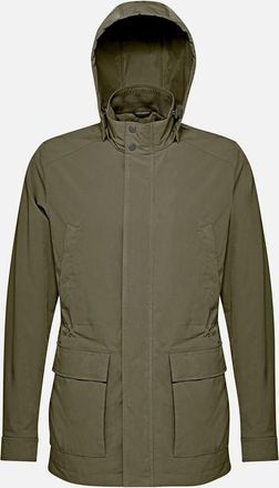 Geox Bekleidung Damon Herr Gr&uuml;nbraun