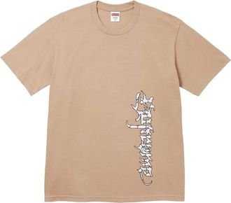 SUPREME t-shirt à imprimé graphique - Marron