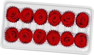 SOLUSTRE 12 St&uuml;ck Teiliges Rote Konservierte Ewige Rosenk&ouml;pfe Langlebige Blumendekoration f&uuml;r Valentinstag Festliche Blumenstrau&szlig; Geschenk f&uuml;r Zuhause und Feie