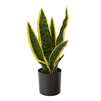 Nearly Natural 35,6 cm Sansevieria Kunstpflanze