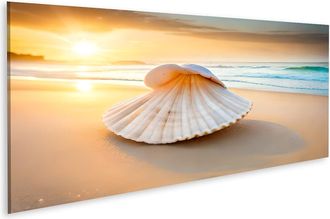 Islandburner Prime Bild auf Leinwand Große Muschel sandiger tropischer Strand Meer Ozean Sonne Bilder Wandbilder Poster