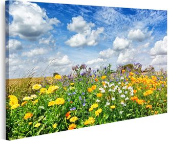 Islandburner Bild auf Leinwand Landschaft mit bunten Sommerblumen Bilder Drucke Wandbilder Wanddekoration