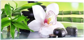 Arttor Panorama Bilder auf Glas 100x40cm Glasbild blume orchidee Gro&szlig; Wanddeko Bild im Glas Schlafzimmer K&uuml;che Wandbilder Dekoration Wohnzimmer Modern Wall D