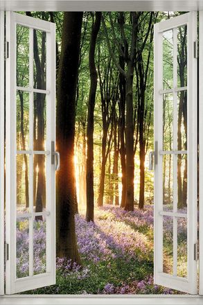 Wallario Poster - Blaue Hasenglöckchen im Wald mit Sonnenstrahlen in Premiumqualität, Größe: 61 x 91,5 cm mit Fenster-Illusion (Maxiposter)