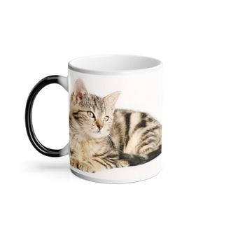 Fabulous Thermoreagierende Tasse Magische Tasse - Splendide K&auml;tzchen Tiger Augen grau Europ&auml;ische S&uuml;&szlig;e Katze - 325 ml
