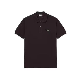 Lacoste Pullover mit kleinem Logo - - Tops - Herren - Braun - XL