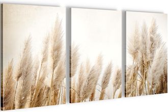 Runa Art Wandbilder Boho pampasgras 3 Teilig Wanddeko aus Vlies-Leinwand Wohnzimmer Schlafzimmer Natur Beige 0444a