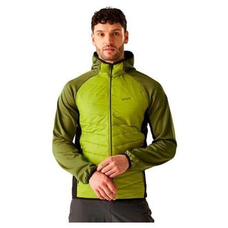Regatta Veste hybride ANDRESON - Homme (3XL) (Vert clair/Vert n&eacute;phrite)
