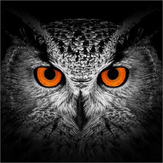 Wallario Sticker/Aufkleber f&uuml;r K&uuml;hlschrank/Geschirrsp&uuml;ler/K&uuml;chenschr&auml;nke, Selbstklebende Folie - 60 x 60 cm, Motiv: Blick aus der Dunkelheit