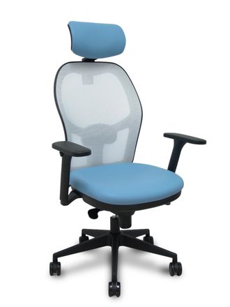 Piqueras y Crespo Schreibtischstuhl in Wei&szlig; und Blau, mit 3D-Armlehnen, h&ouml;henverstellbarer Lendenwirbelst&uuml;tze und h&ouml;henverstellbarem Kopfteil, Wei&szlig; / Hellblau