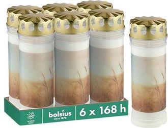 Bolsius Bolsius Grablicht - Weiß - 6 Stück - 7.5 x 20 cm - Länge Brenndauer 168 stunden - Trauerkerze & Gedenkstätte Kerzen - mit Motiv - Felder - Unparfümier