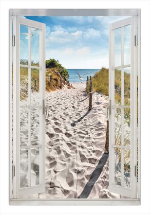 Wallario Wandbild - M&ouml;wen auf dem Weg zum Strand in Premiumqualit&auml;t, Poster mit rahmenlosen Bildhalter, Gr&ouml;&szlig;e: 61 x 91,5 cm mit Fenster-Illusion