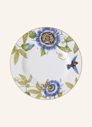 Villeroy & Boch Speiseteller Amazonia weiss