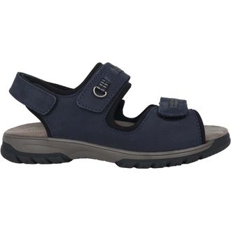 Waldl&auml;ufer Harald