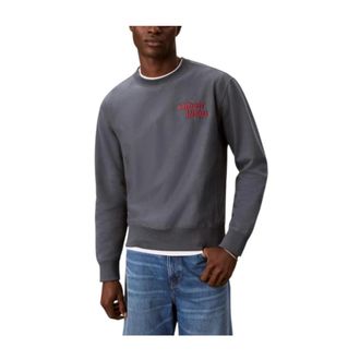 Calvin Klein Homme, Sweatshirts et sweats &agrave; capuche, Gris, Taille: L SweaT-shirts