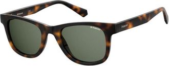 Polaroid Homme, Accessoires, Brun, Taille: 50 MM 1016/S/New 086/Uc Lunettes de soleil