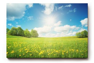 Paul Sinus Art Sinus Art Wandbild 90x60cm Weite Frühlingswiese mit gelben Blüten und strahlendem Himmel für fröhliche Atmosphäre